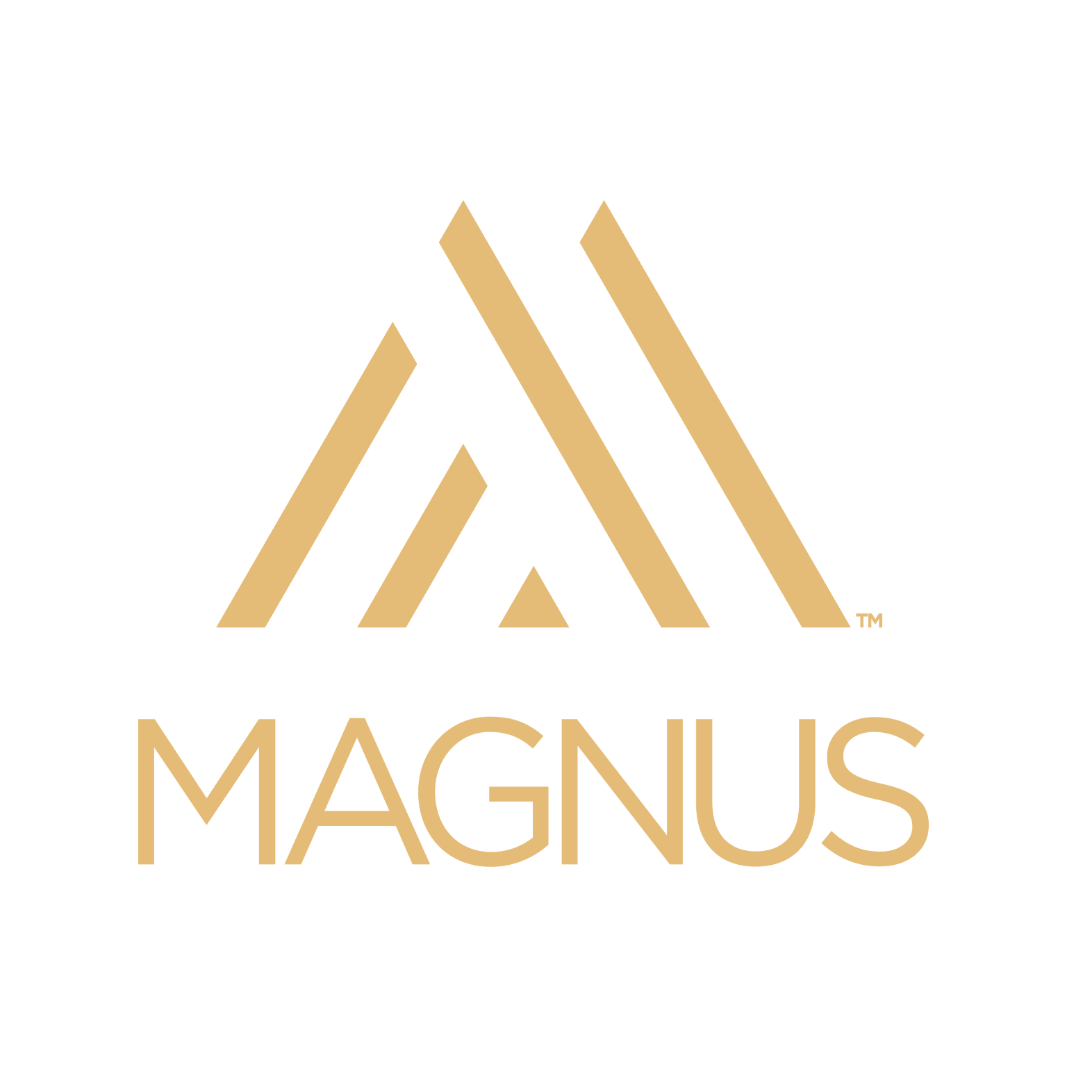 MagnusMedia